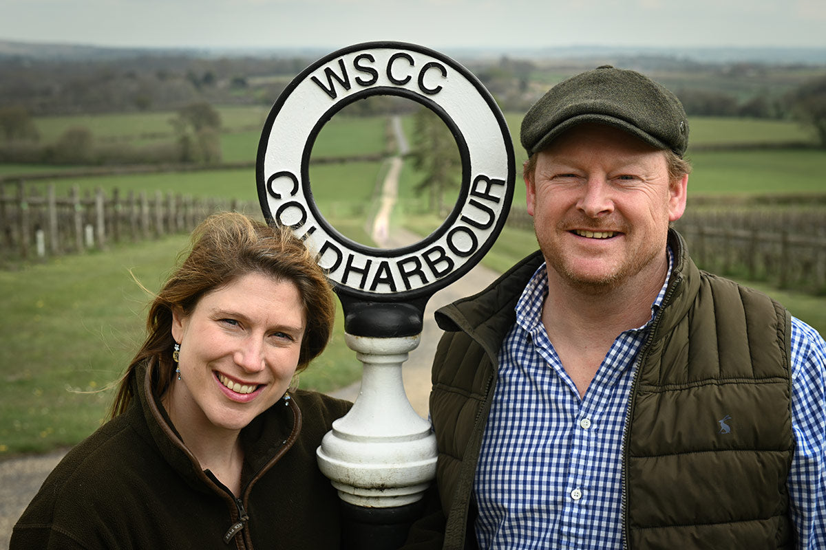 GALLERY – Sugrue South Downs